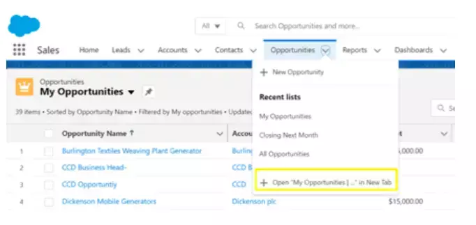 What does the Navigation Bar in Salesforce allow users to do? - Blog | saasguru