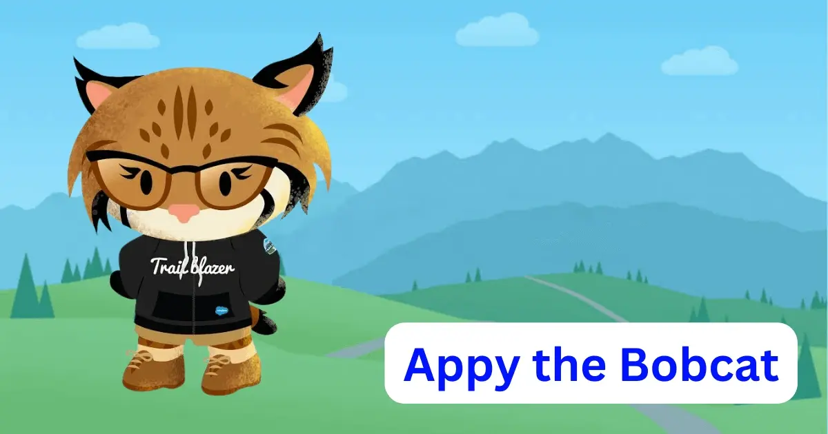 Meet the Salesforce Characters and Mascots: A Fun Guide 2024